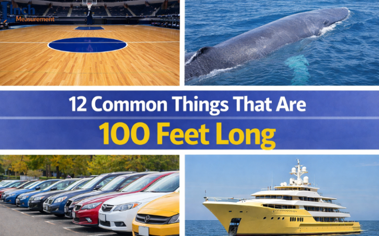 12 Common Things That Are 100 Feet Long - inchmeasurement.com